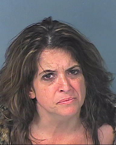 GALLERY: 100+ mug shots from Tampa Bay for the weekend of 3/25 ...