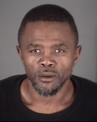 GALLERY: 100+ mug shots from Tampa Bay for the weekend of 3/25 ...