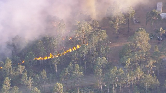 PHOTOS: Crews battle large brush fire at Indian Lake Estates - Gallery ...
