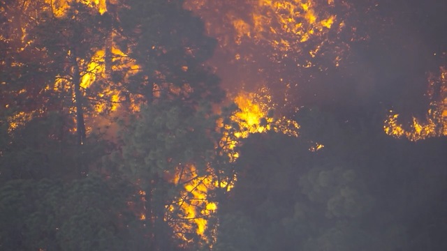 PHOTOS: Crews battle large brush fire at Indian Lake Estates - Gallery ...