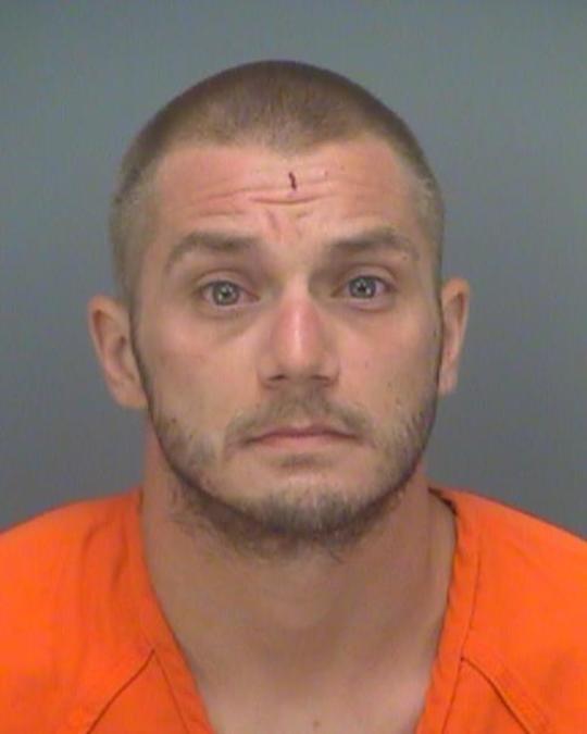 GALLERY: 100+ mug shots from Tampa Bay for the weekend of 7/8 - Gallery ...